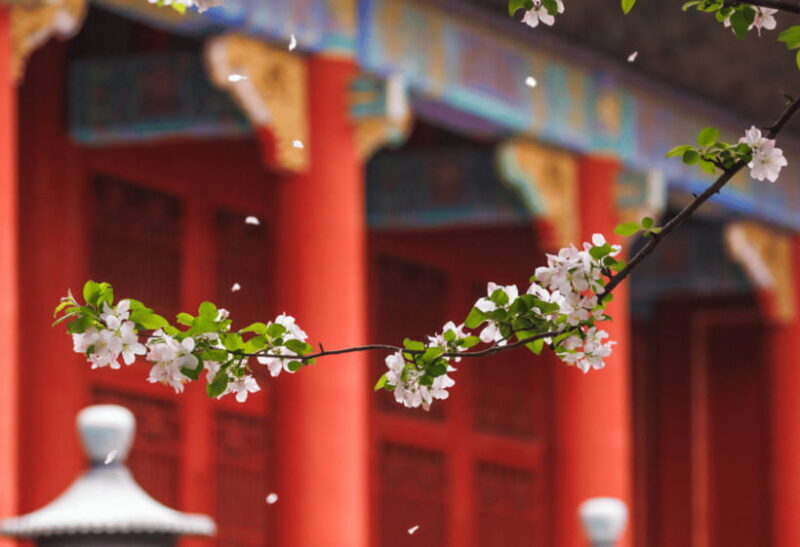 Beijing: Tiananmen Square and Forbidden City Entry Tickets - Authentic Traveler Insights