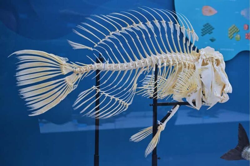 Beijing: Ultimate Cultural TourTemple, Museum & Old Street - Key Points