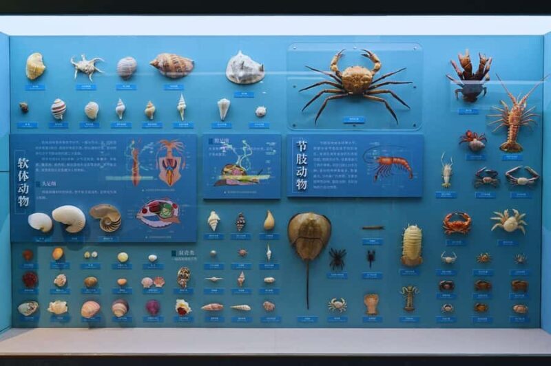 Beijing: Ultimate Cultural TourTemple, Museum & Old Street - A Deep Dive into the Experience