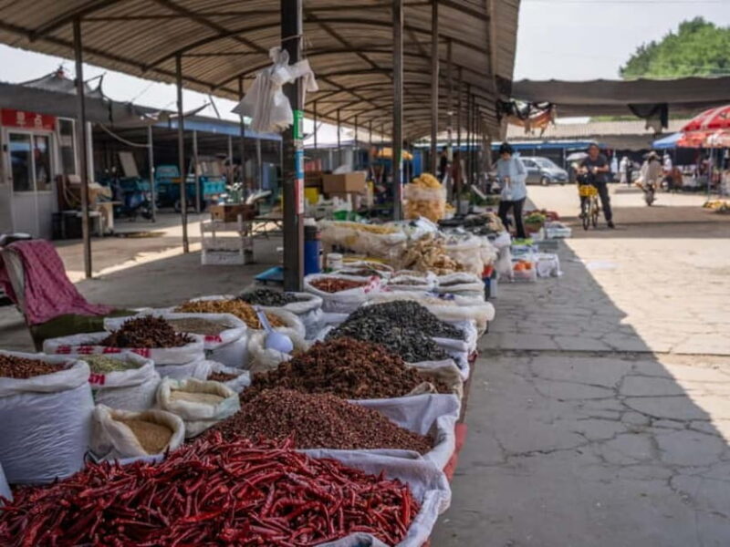 Beijing: Vegan Home Cooking & Local Market Tour with Sanxia - A Closer Look at the Experience