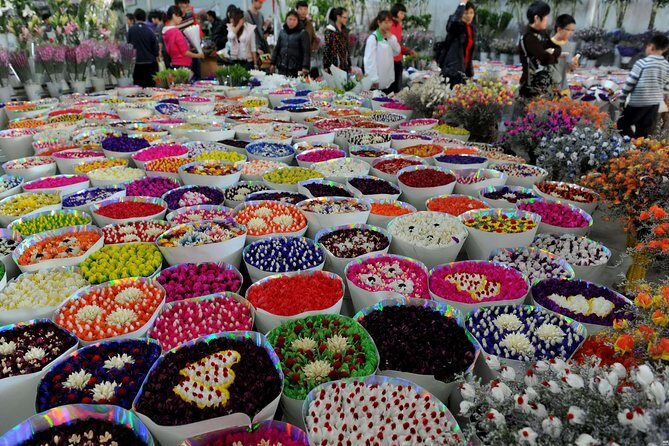 Beijing World Park and Flower Market Visiting with Private Driver Service - Exploring Beijing’s Global Flair and Floral Beauty: A Detailed Review of the World Park & Flower Market Tour