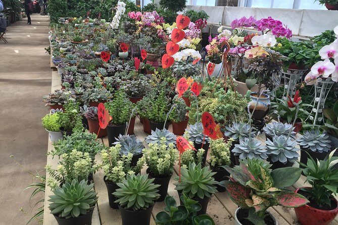 Beijing World Park and Flower Market Visiting with Private Driver Service - What to Expect from the Tour: A Foot-by-Foot Breakdown