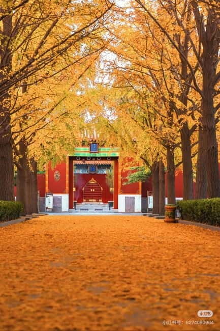 Beijing: Yonghe Lama Temple Tickets with guide (optional) - Key Points