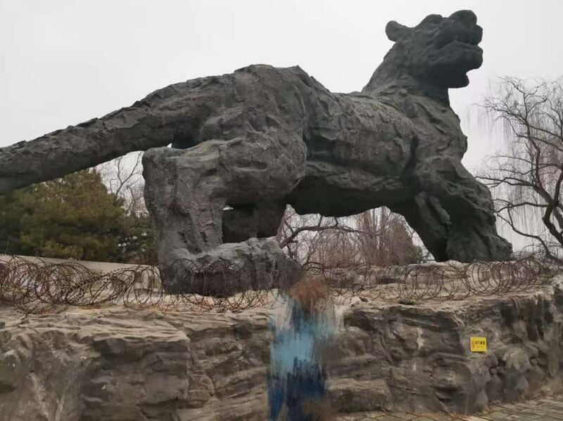 Beijing Zoo Entry Ticket - Panda House Included - The Sum Up: Is Beijing Zoo’s Panda House Worth Your Visit?