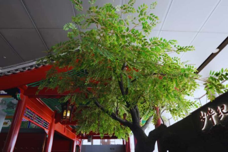 BeijingCapital Museum Hidden Treasures Guided Cultural Tour - FAQ