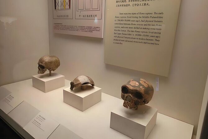 BeijingNational Museum of China ticket - Practical Tips for Your Visit