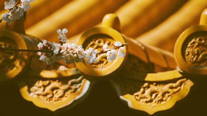 beijingPrivate guided tour of the Forbidden City and parks - Key Points