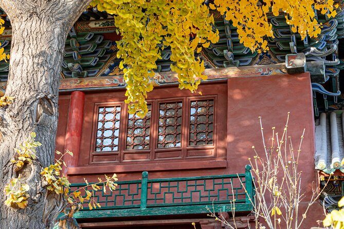 Beijings Delights Dong Si Hutong Half Day Private Food Tour - FAQ