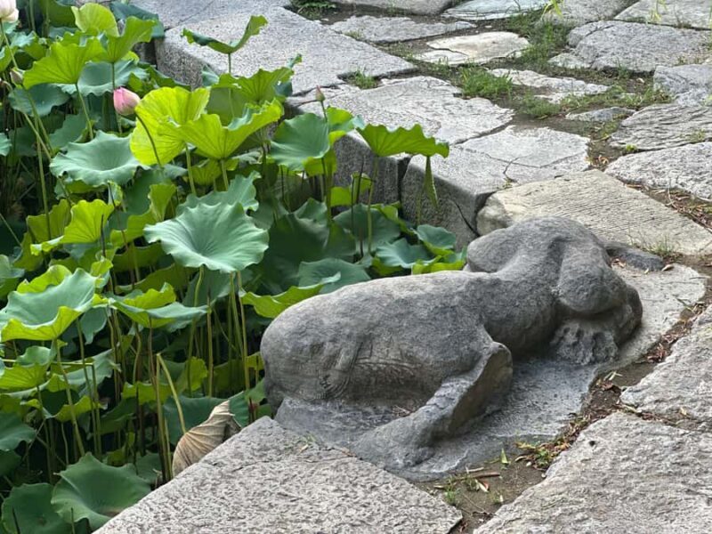 Beijings Hidden Waterways: Walking Tour with Dinner - Key Points