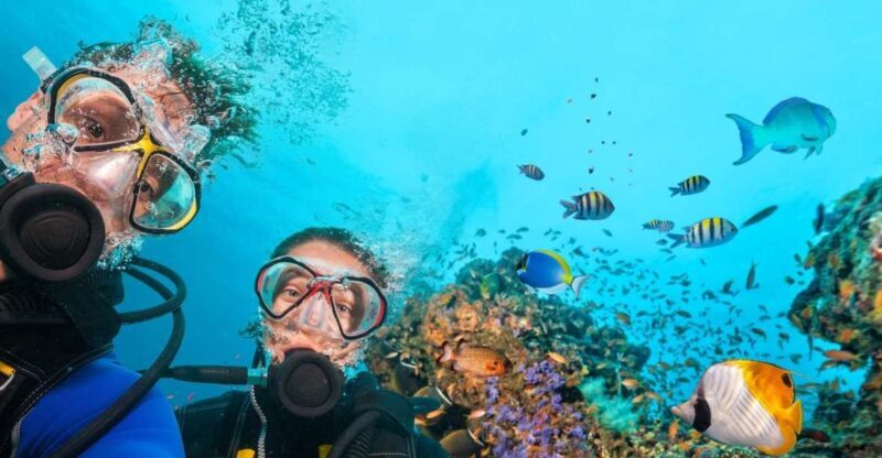 Belek: Scuba Diving in the Mediterranean Sea - Key Points