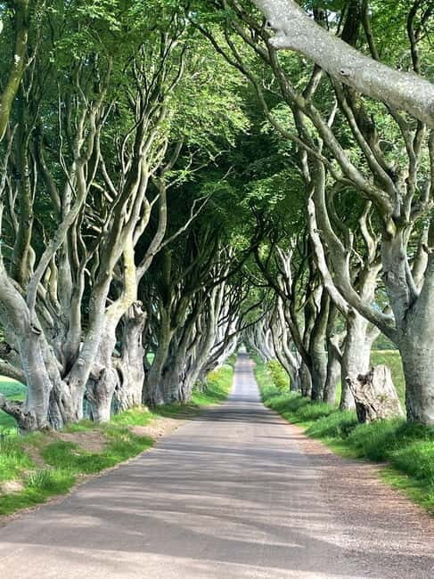 Belfast: Game of Thrones and Giants Causeway Private Tour - The Giant’s Causeway: Nature’s Masterpiece
