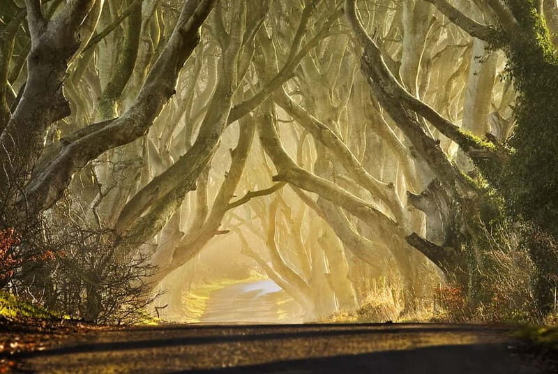Belfast: Game of Thrones - Iron Islands & Giant's Causeway - Practicalities and Tips