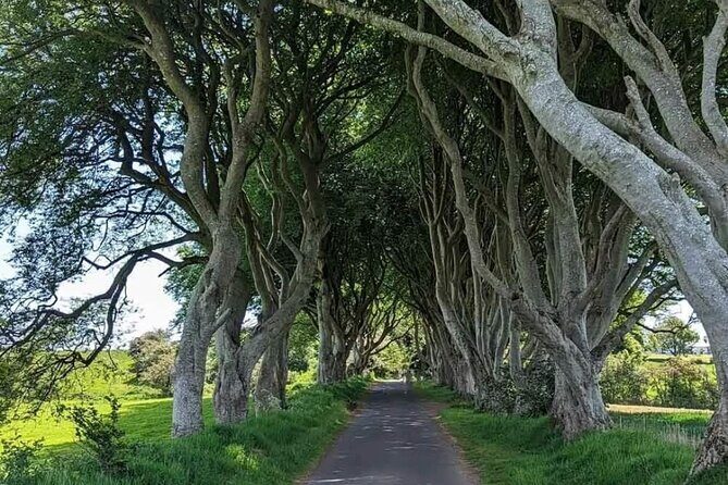 Belfast & Giants Causeway Luxury Mercedes Private Tour for 6 pax - Key Points