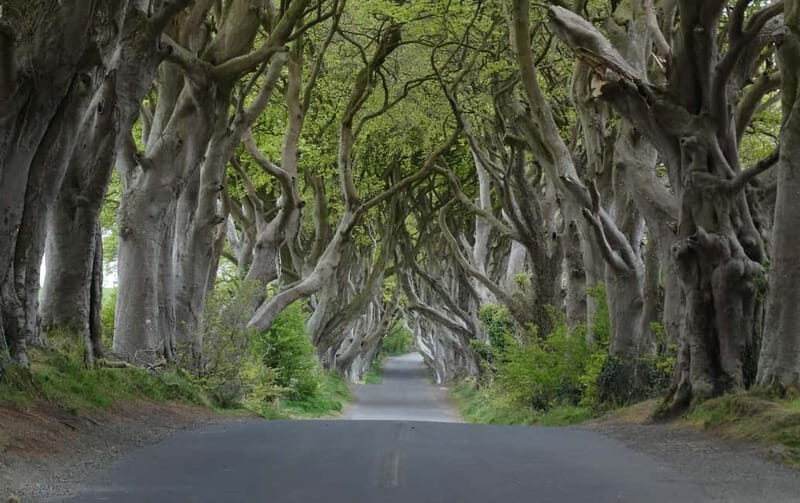 Belfast: Giant's Causeway Tour and 2-Day Open Top-Bus Tour - Authentic Reviews & Real Experiences
