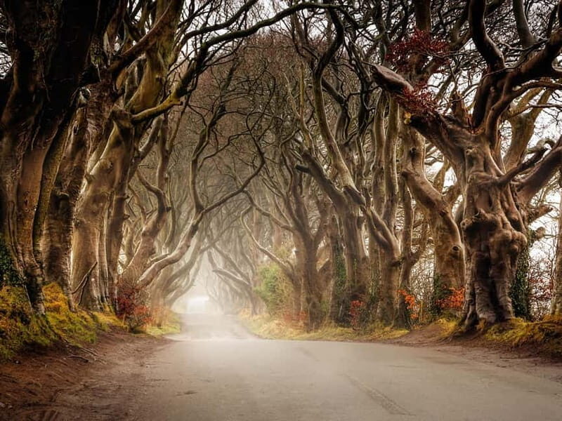 Belfast: Giant's Causeway Tour and 2-Day Open Top-Bus Tour - Exploring the Full Itinerary: What You Can Expect
