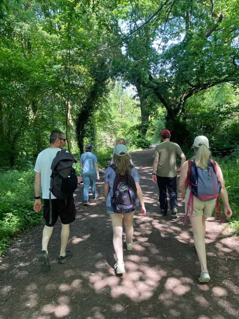 Belfast: Sir Thomas & Lady Dixon Park Walk & Alfresco Picnic - An Introduction to the Experience