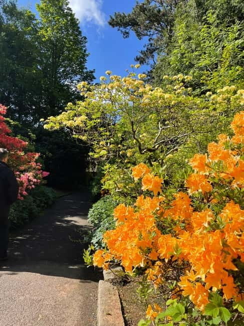 Belfast: Sir Thomas & Lady Dixon Park Walk & Alfresco Picnic - FAQ