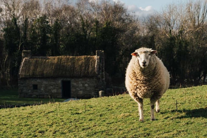 Belfast: Ulster Folk Museum Entry Ticket - Key Points