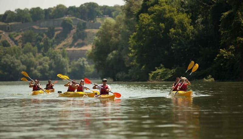 Belgrade: Great War Island Kayak Adventure - Authentic Reviews: What Participants Say