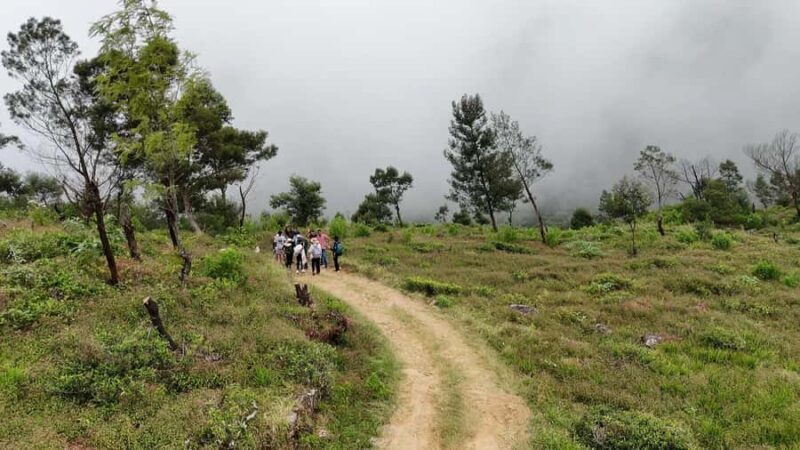 Belihuloya: Devil's Staircase Jeep Safari with Pickup - Key Points