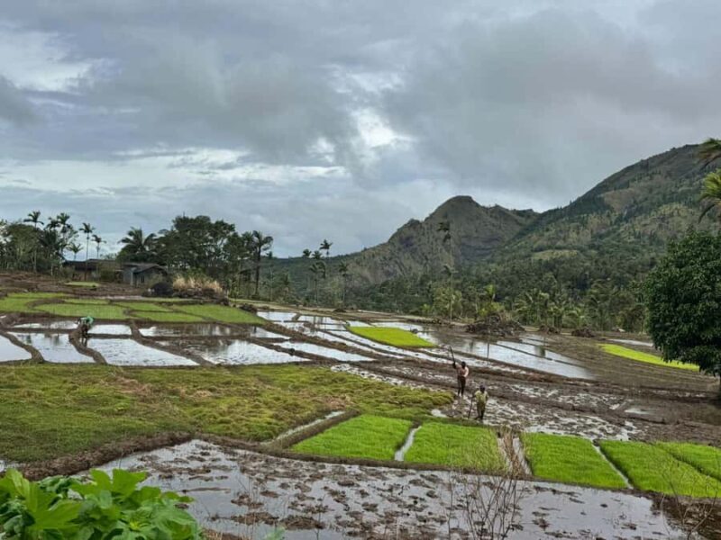 Belihuloya: Ihala Galagama Village Trail Guided Hike - Key Points