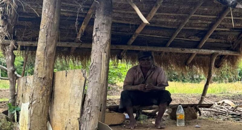 Belihuloya: Ihala Galagama Village Trail Guided Hike - Experience Overview