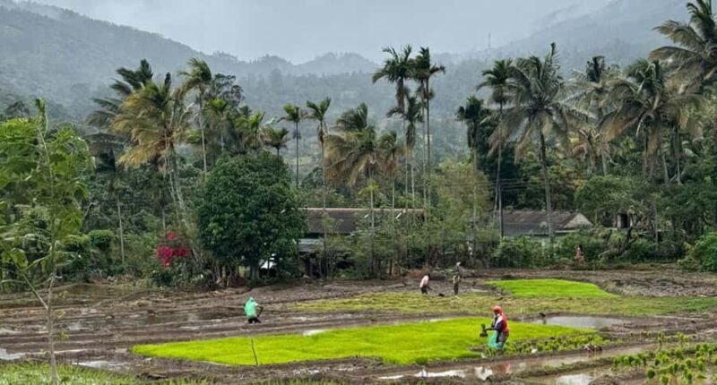 Belihuloya: Ihala Galagama Village Trail Guided Hike - In-Depth: What Makes This Tour Stand Out?