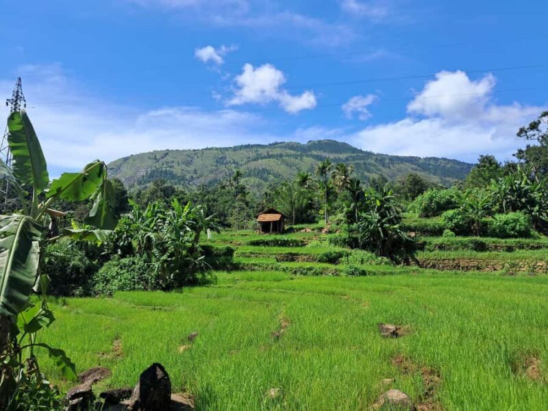 Belihuloya Village Tour with Lunch - Connecting with Local Culture