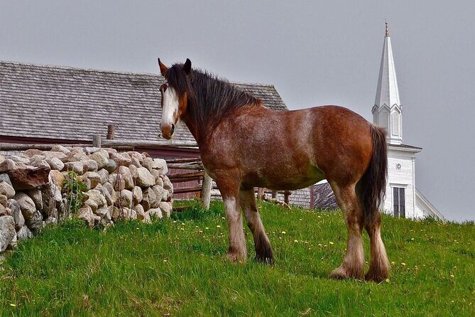 Bell Museum Baddeck to Highland Village Museum Iona - Frequently Asked Questions