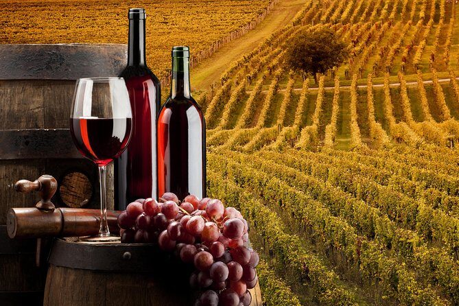 Bella Toscana Private Tour: 2 Chianti Wineries and San Gimignano From Livorno - The Bottom Line