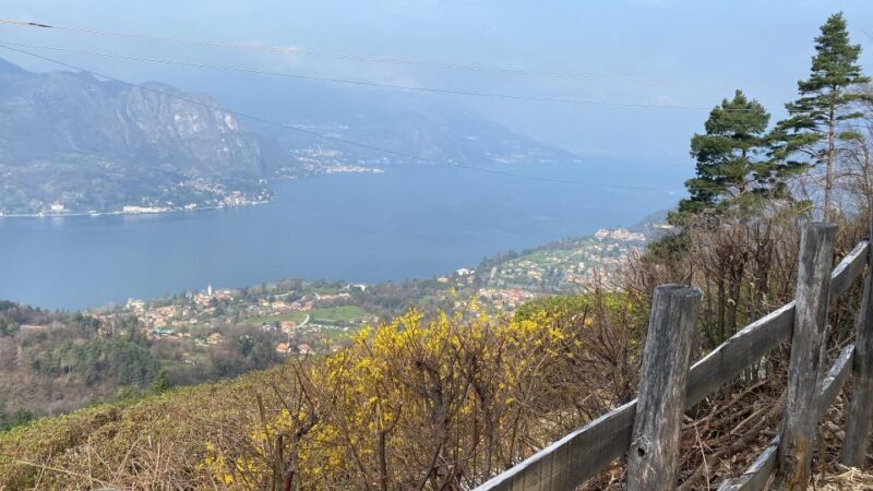 Bellagio: Exclusive picnic at the agrofarm with scenic view - Key Points