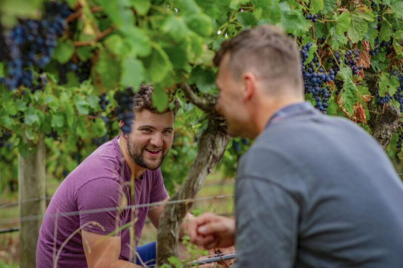 Bellarine Winery: Texas BBQ Platter Lunch with Wine - A Closer Look at the Bellarine Winery Experience