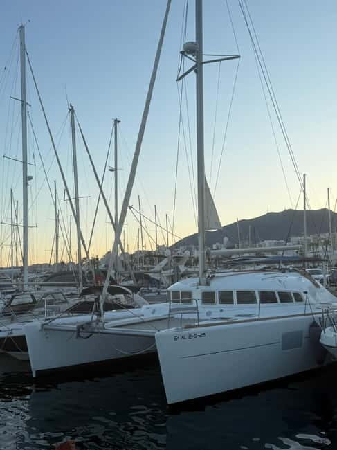 Benalmádena 2-hour Group Tour with Dolphin Watching - Navigating Practicalities