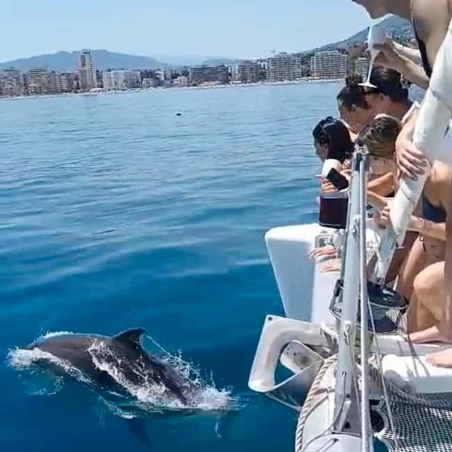 Benalmádena 2-hour Group Tour with Dolphin Watching - Authentic Traveler Experiences
