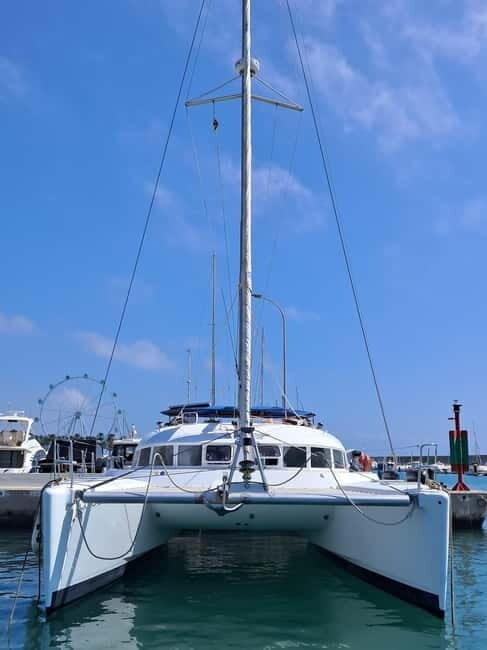 Benalmádena 2-hour Group Tour with Dolphin Watching - Why This Tour Is a Great Choice