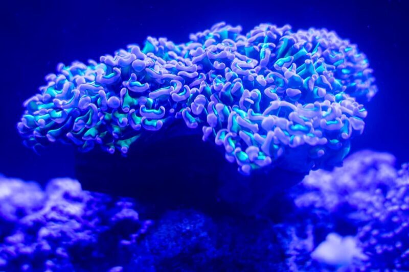 Benalmadena Aquarium Visit - Final Thoughts: Is It Worth Visiting?