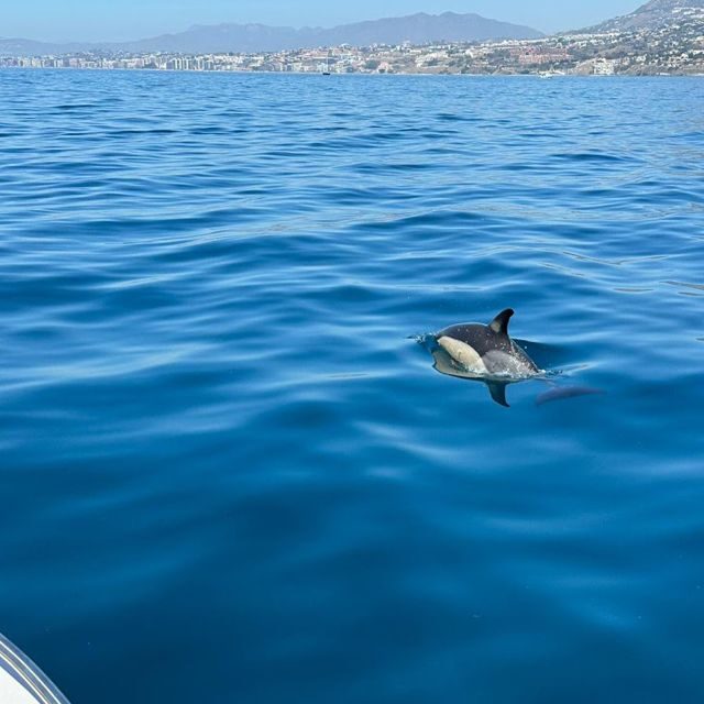 Benalmadena: Boat Rental in Malaga for hours - Key Points