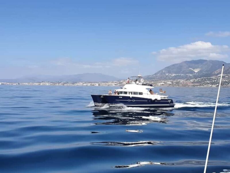 Benalmádena: Catamaran Cruise with Drinks and Swim Stop - Key Points