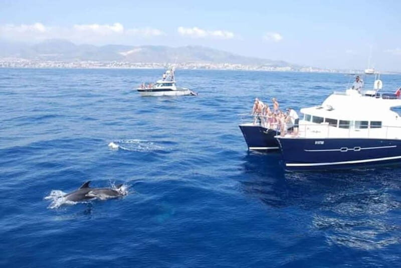 Benalmádena: Catamaran Cruise with Drinks and Swim Stop - The Swim Stop: A Refreshing Break