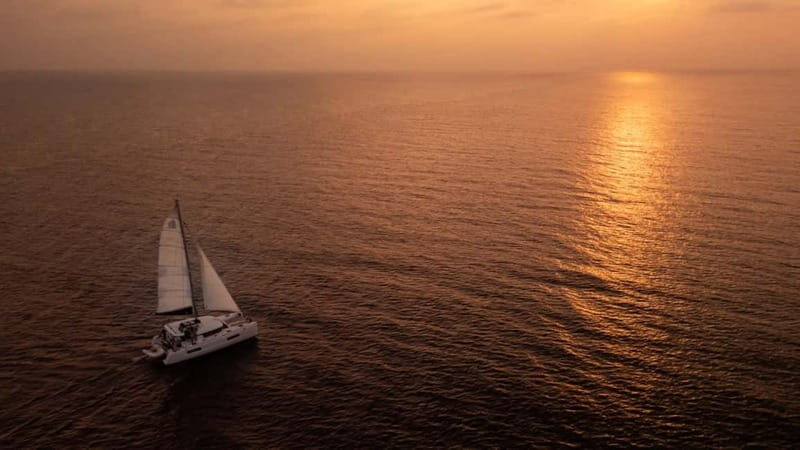 Benalmádena: Catamaran with dolphin watching and drinks - Why This Tour Offers Good Value