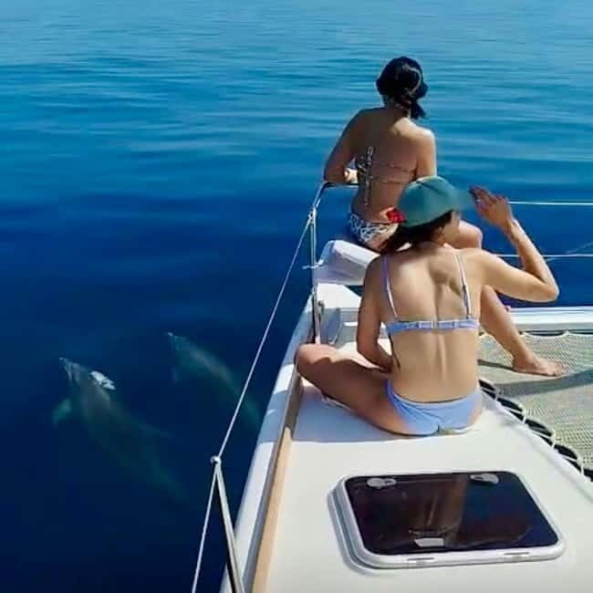 Benalmádena: Catamaran with dolphin watching and drinks - Frequently Asked Questions