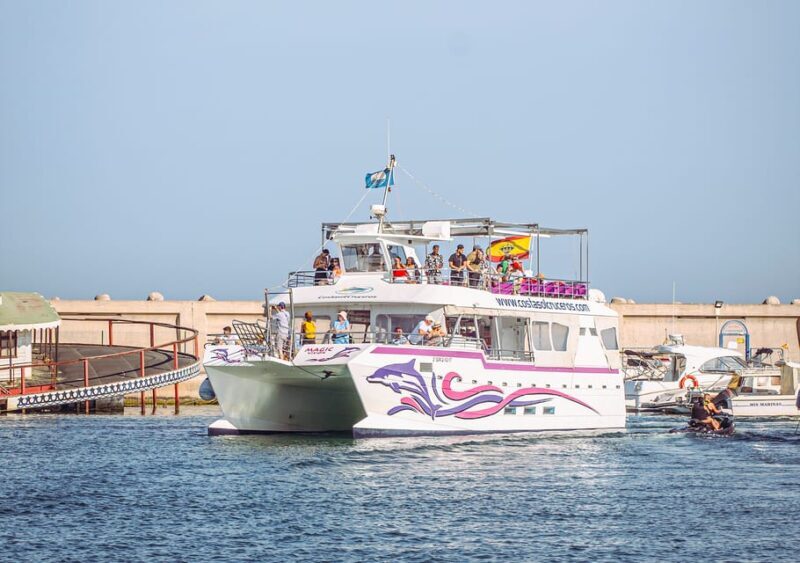 Benalmadena: Dolphin Watching Boat Tour - An Authentic Look at the Dolphin Watching Experience