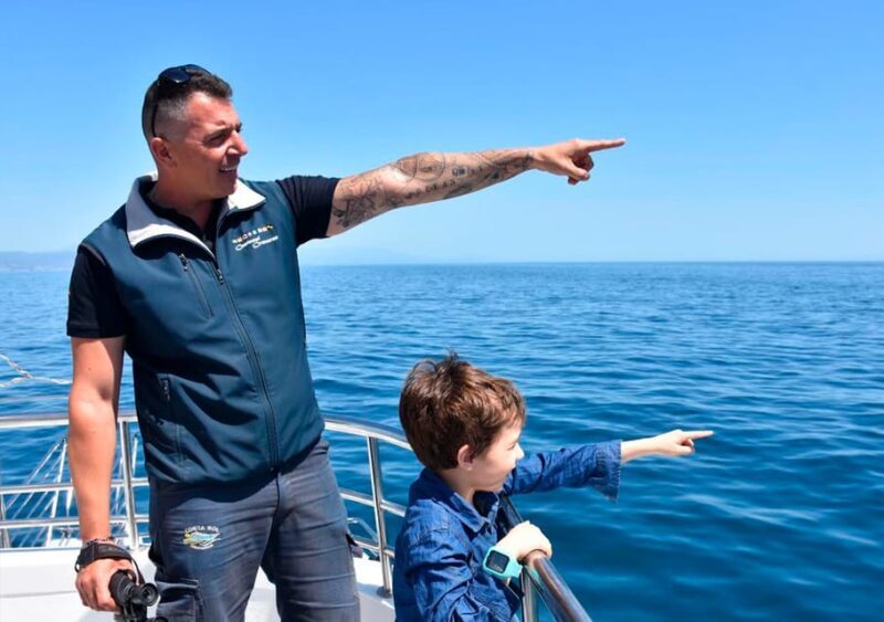 Benalmadena: Dolphin Watching Boat Tour - Who Will Love This Tour?