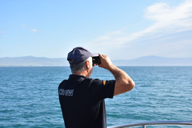 Benalmadena: Dolphin Watching Boat Tour - The Sum Up