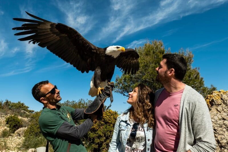 Benalmádena: Mount Calamorro Cable Car Ticket - Why This Experience Is Worth It