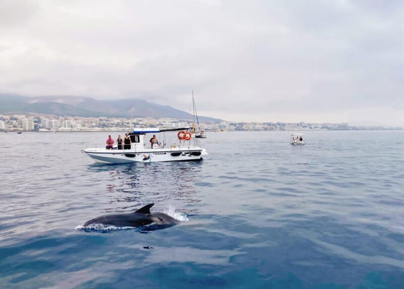 Benalmadena: Private Boat Trip with Drinks & Snacks - The Scenic Highlights and Potential Drawbacks
