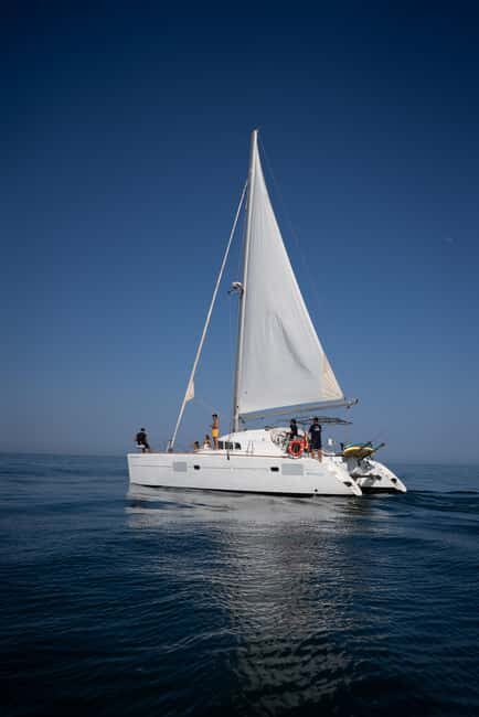 Benalmádena: Sailing & Dolphin Watching with Snacks/Drinks - FAQ