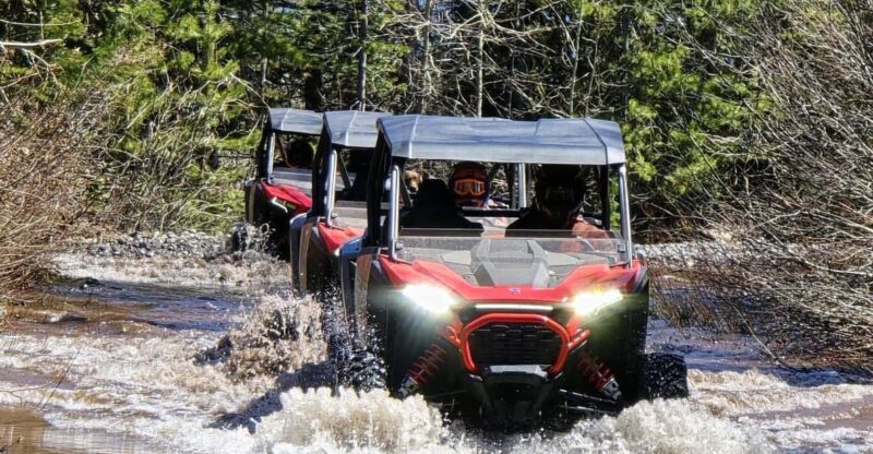 Bend: 2hr High Cascades Scenic ATV Tour - What It Feels Like to Ride