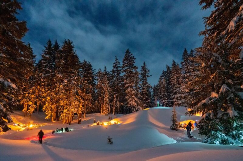 Bend: Cascade Mountains Snowshoeing Tour and Bonfire - What Makes This Tour Stand Out