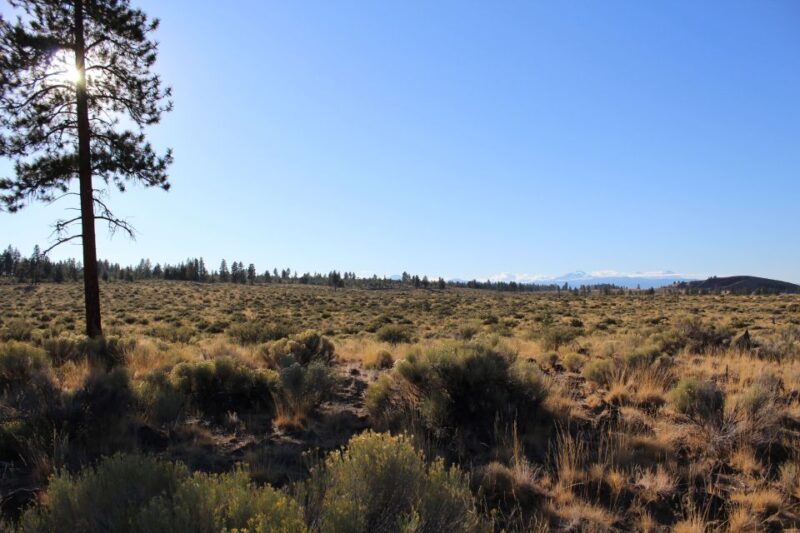 Bend: Half-Day Lava Tube Cave Tour - Value and Cost Analysis